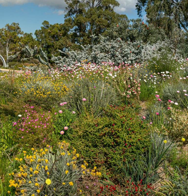 Walks by Request - Kings Park Volunteer Guides - Best Walking Tours Perth