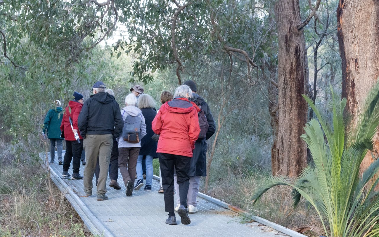 Bushland and Wildflowers - Kings Park Volunteer Guides - Kings Park Tours