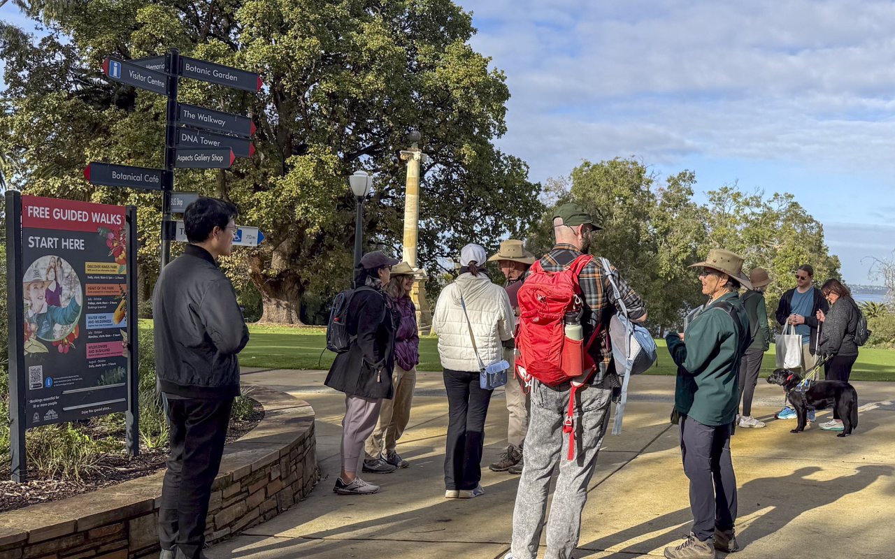 Join Our Guided Walks - Kings Park Volunteer Guides - Perth Walking Tours